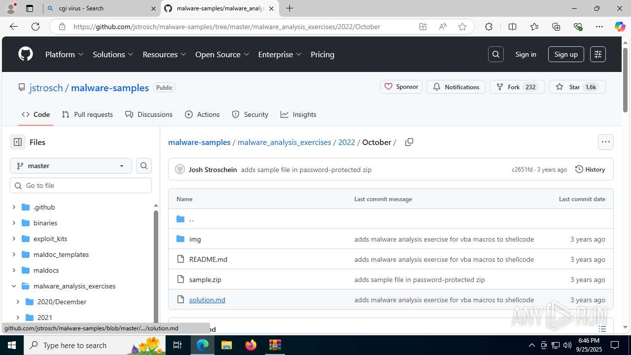 Analysis based.exe.zip (MD5: D31511E00098595CAAB1132076635DE8 ...