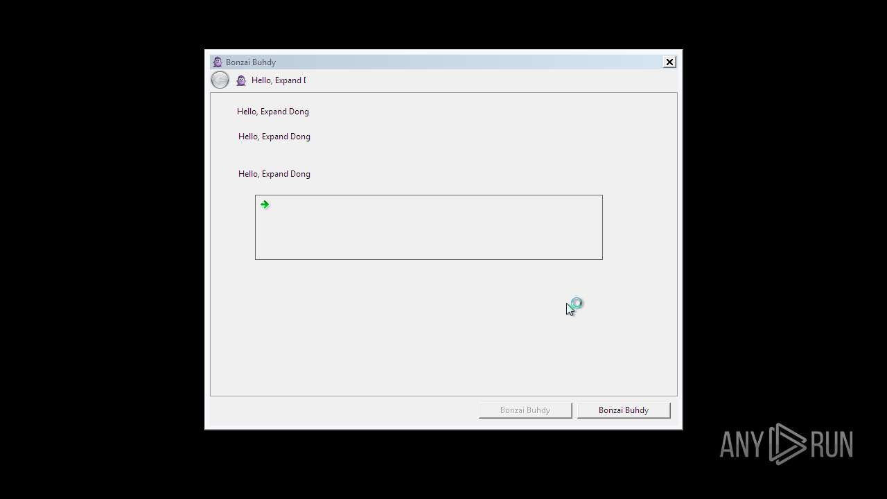 Malware Analysis Bonzify.exe Malicious Activity