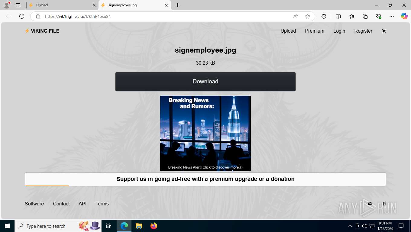 Analysis vik1ngfile.site Malicious activity - Interactive analysis ANY.RUN
