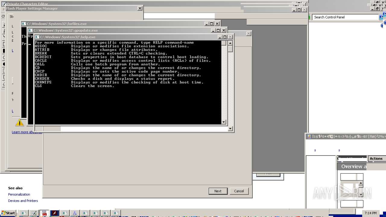Malware analysis Holzer.exe Malicious activity | ANY.RUN - Malware ...
