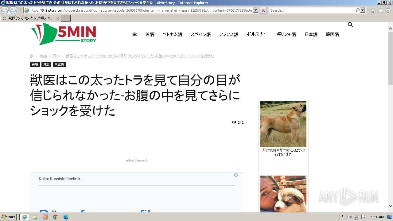 Malware analysis https://5minstory.com/jp-tigerultrasound/?utm_source=taboola_26005370&utm_term ...