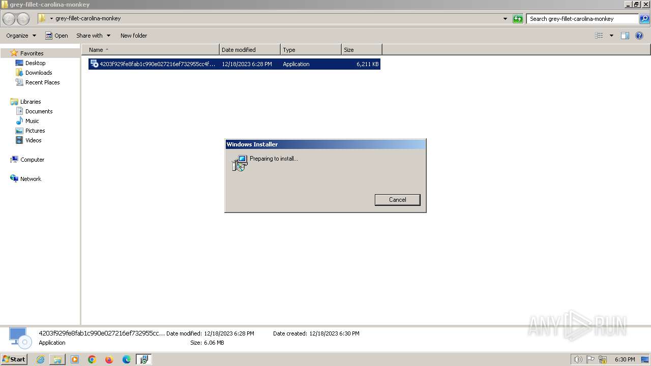 Malware analysis grey-fillet-carolina-monkey.zip Malicious activity ...