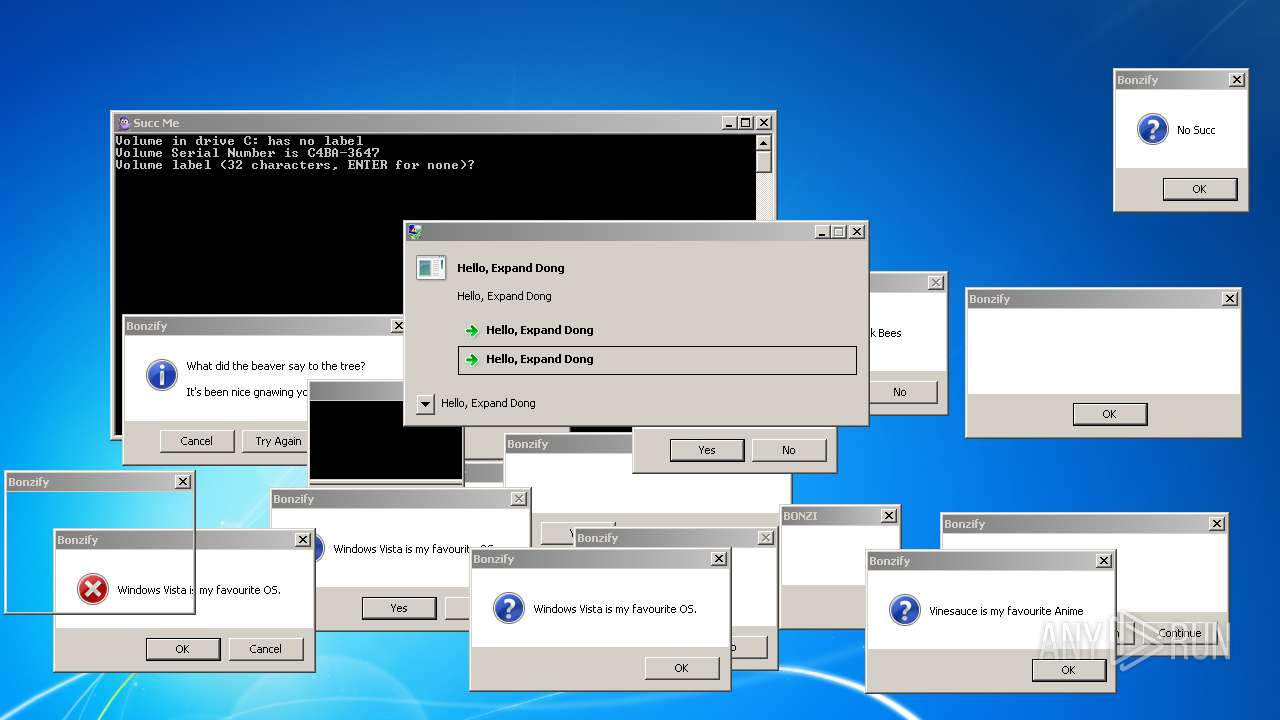 Malware Analysis Bonzify.exe Malicious Activity