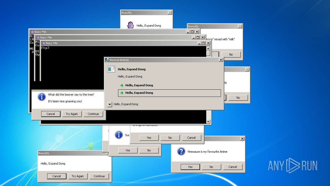Malware Analysis Bonzify.exe Malicious Activity