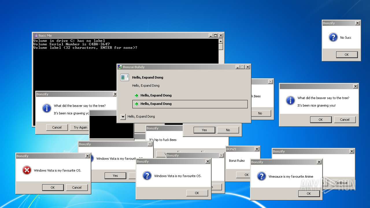 Malware Analysis Bonzify.exe Malicious Activity