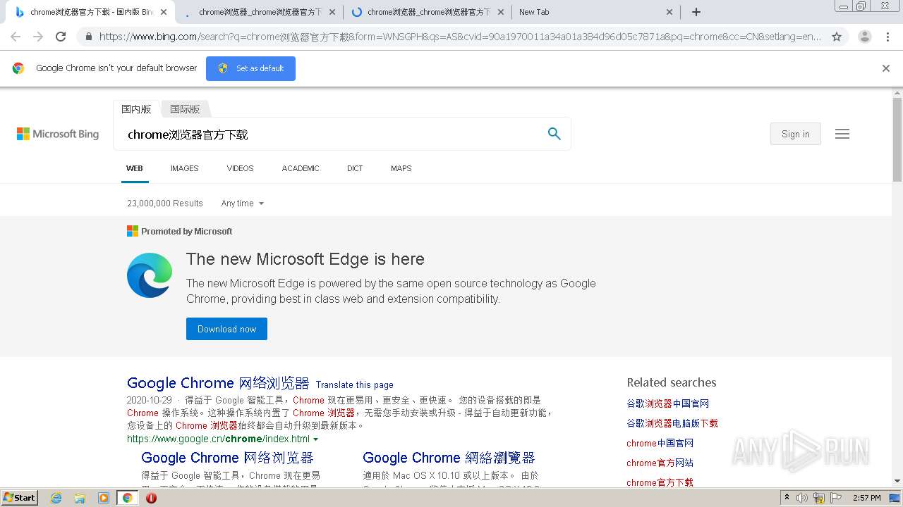 Malware analysis https://www.bing.com/search?q=chrome%e6%b5%8f%e8%a7%88 ...