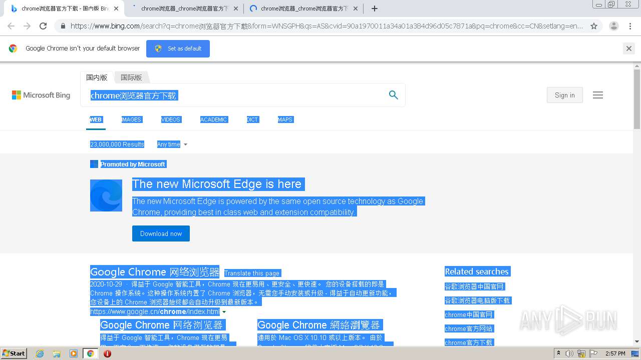 Malware analysis https://www.bing.com/search?q=chrome%e6%b5%8f%e8%a7%88 ...